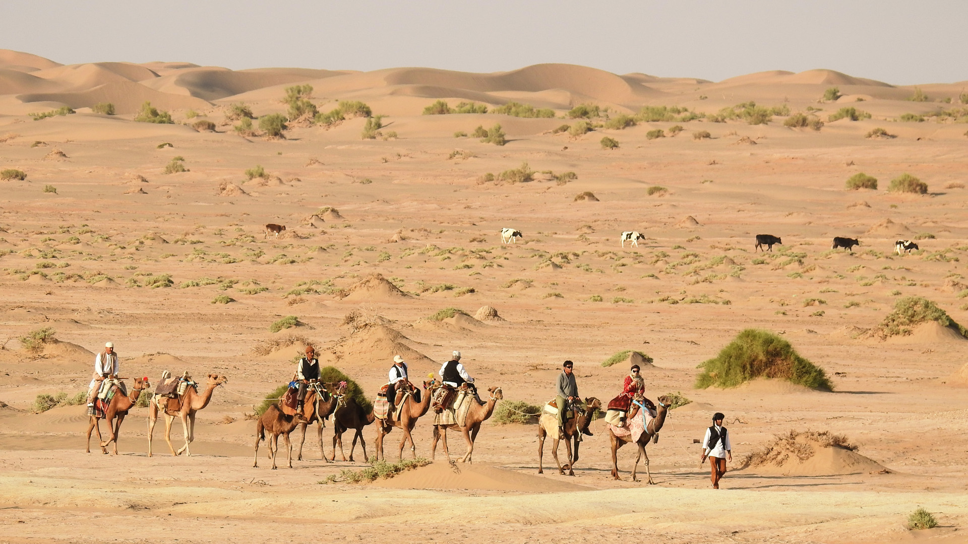 Iran - Territories of Life