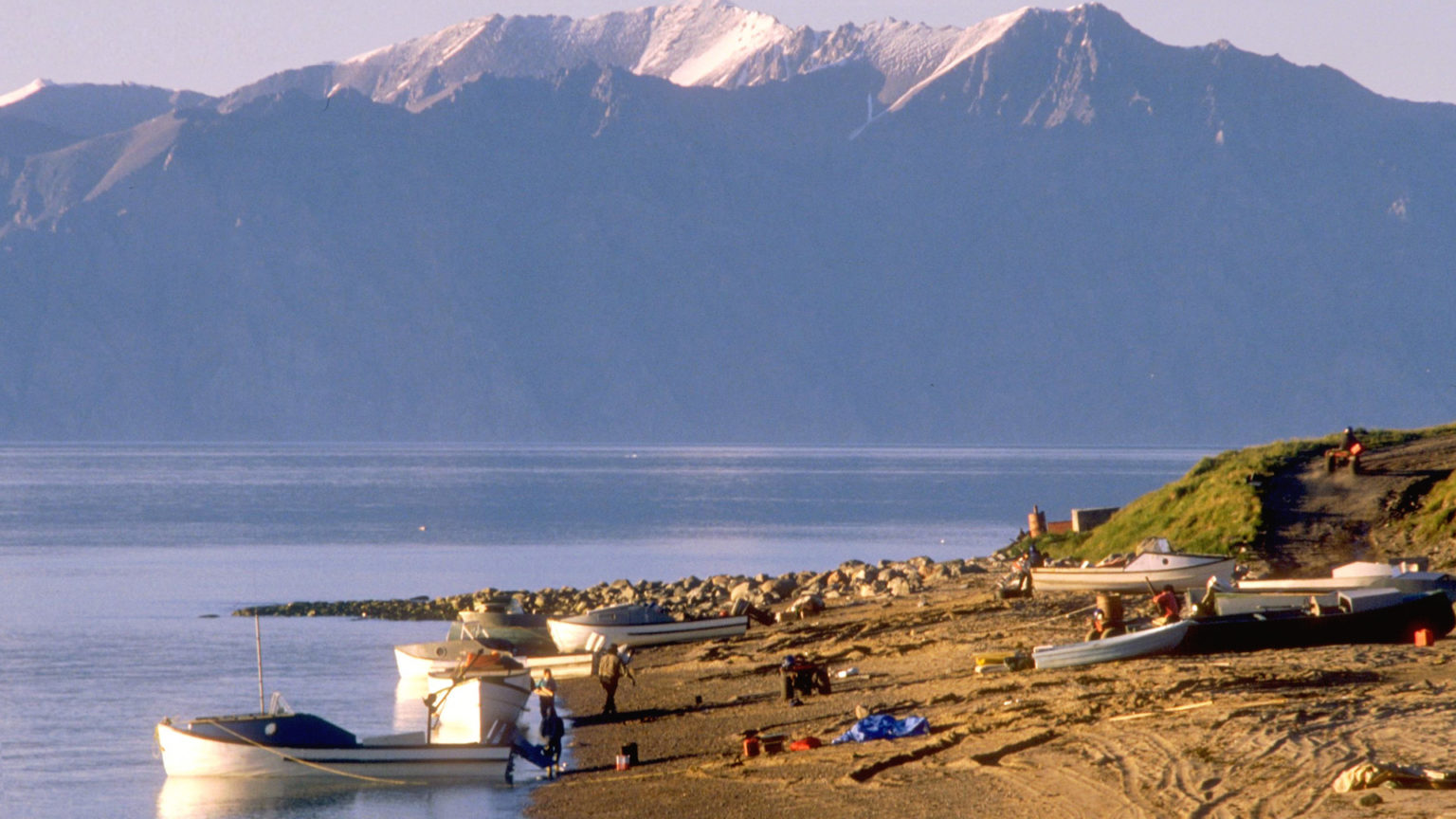 Canada-Pond Inlet beach and Bylot Island - the view in front of my ...