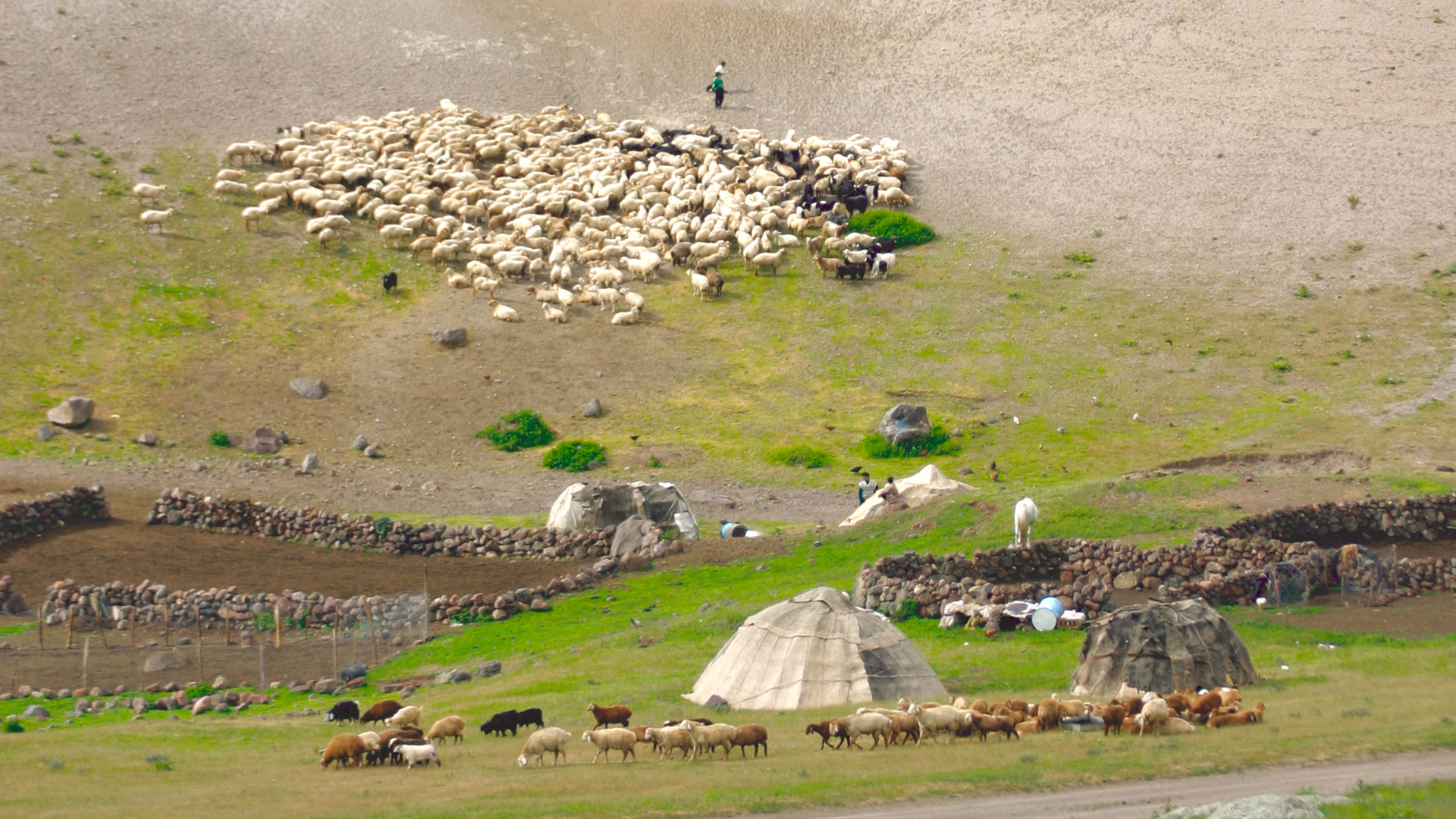 West and Central Asia & the Caucasus - Territories of Life