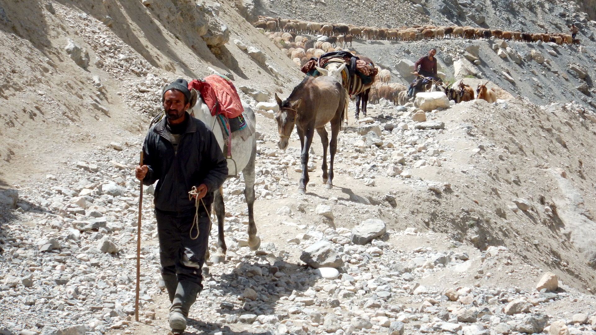 Yagnob_credit-Marc-Foggin-1920-x1080-3 - Territories of Life