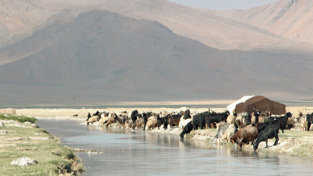Grasslands & mountains - Territories of Life
