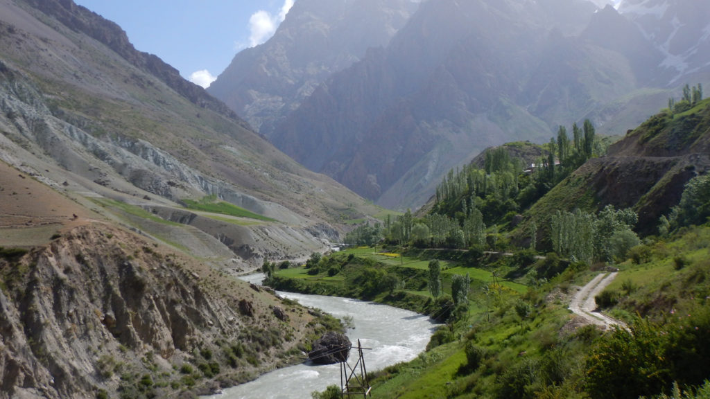 Grasslands & mountains - Territories of Life